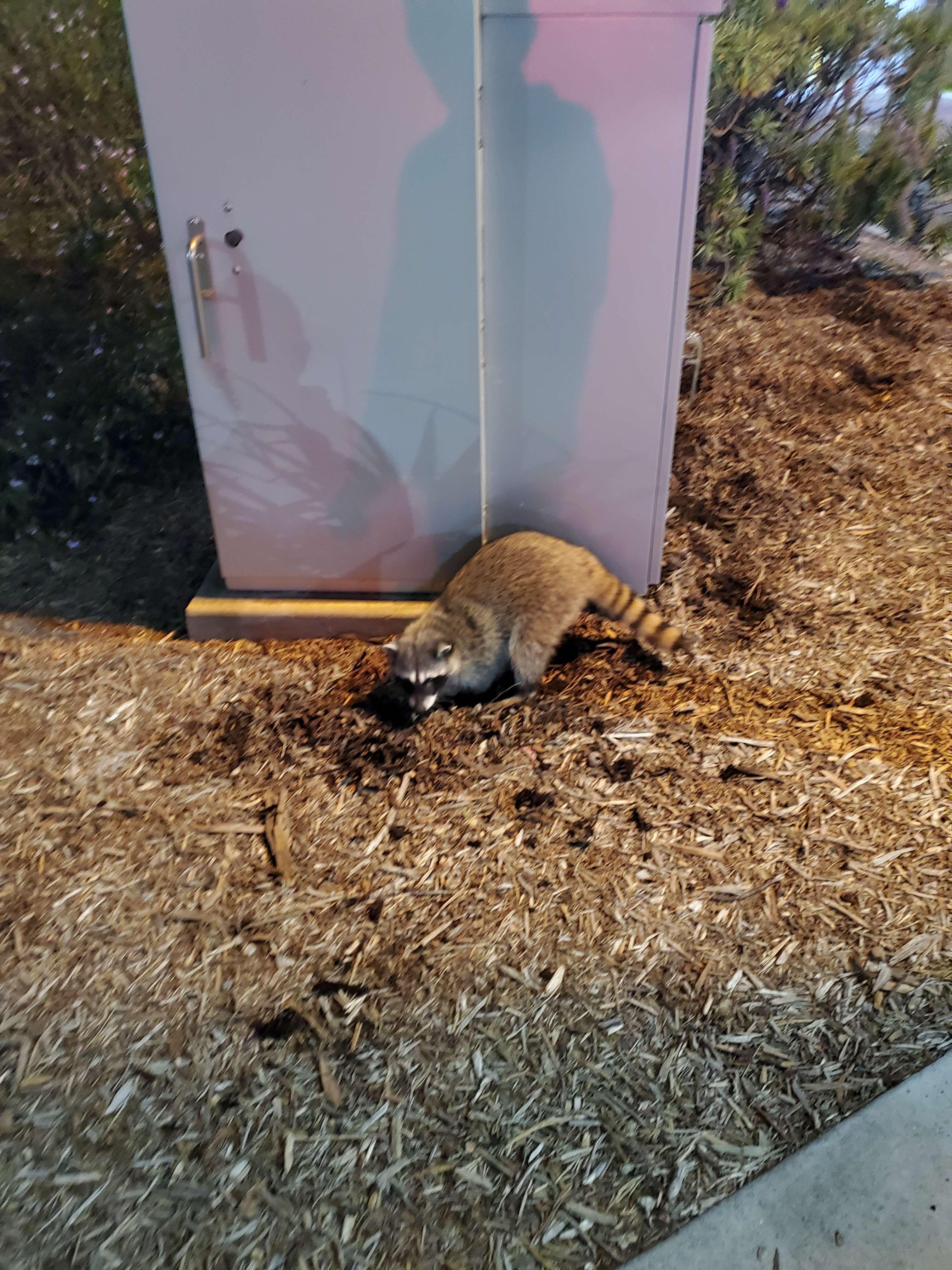 Daniel Lee’s User Page | daniel-lee-user.github.io